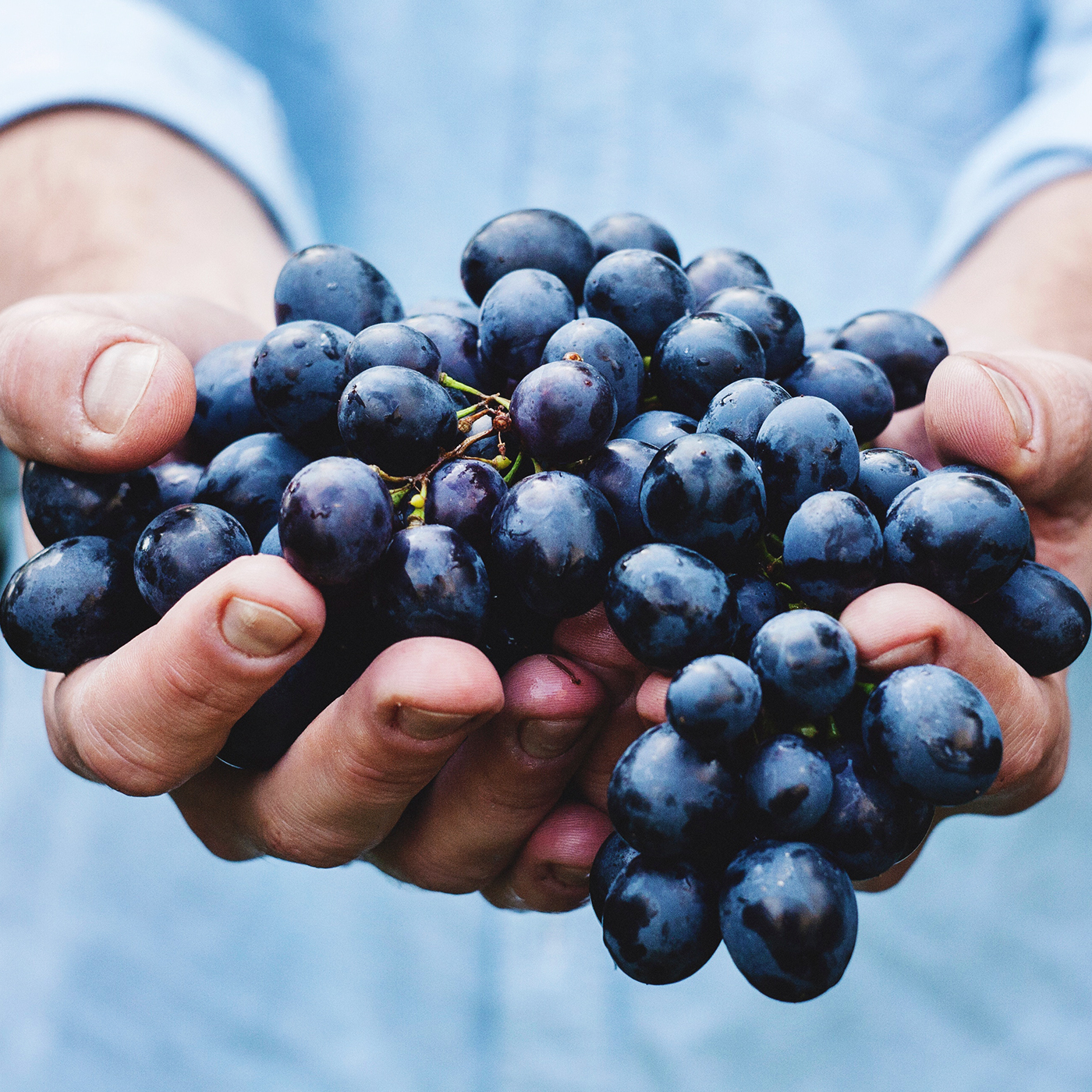 Being Faithful, Bearing Fruit | Long Read | LICC