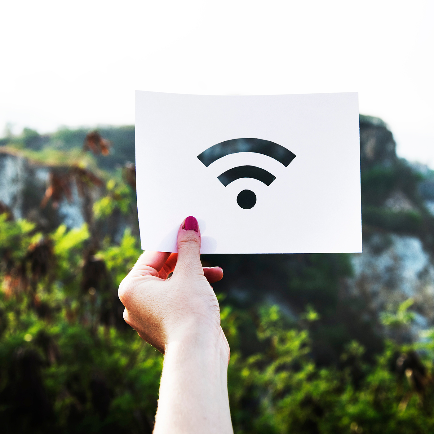 In Google We Trust? | LICC