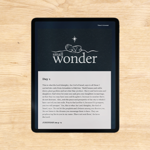 Small Wonder – A Christmas Devotional Journey | LICC